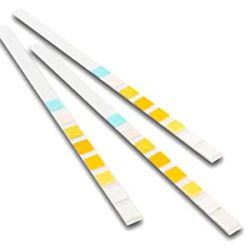 10 Parameter Urine Dipstick Test Strips x 100 | Zoom Health